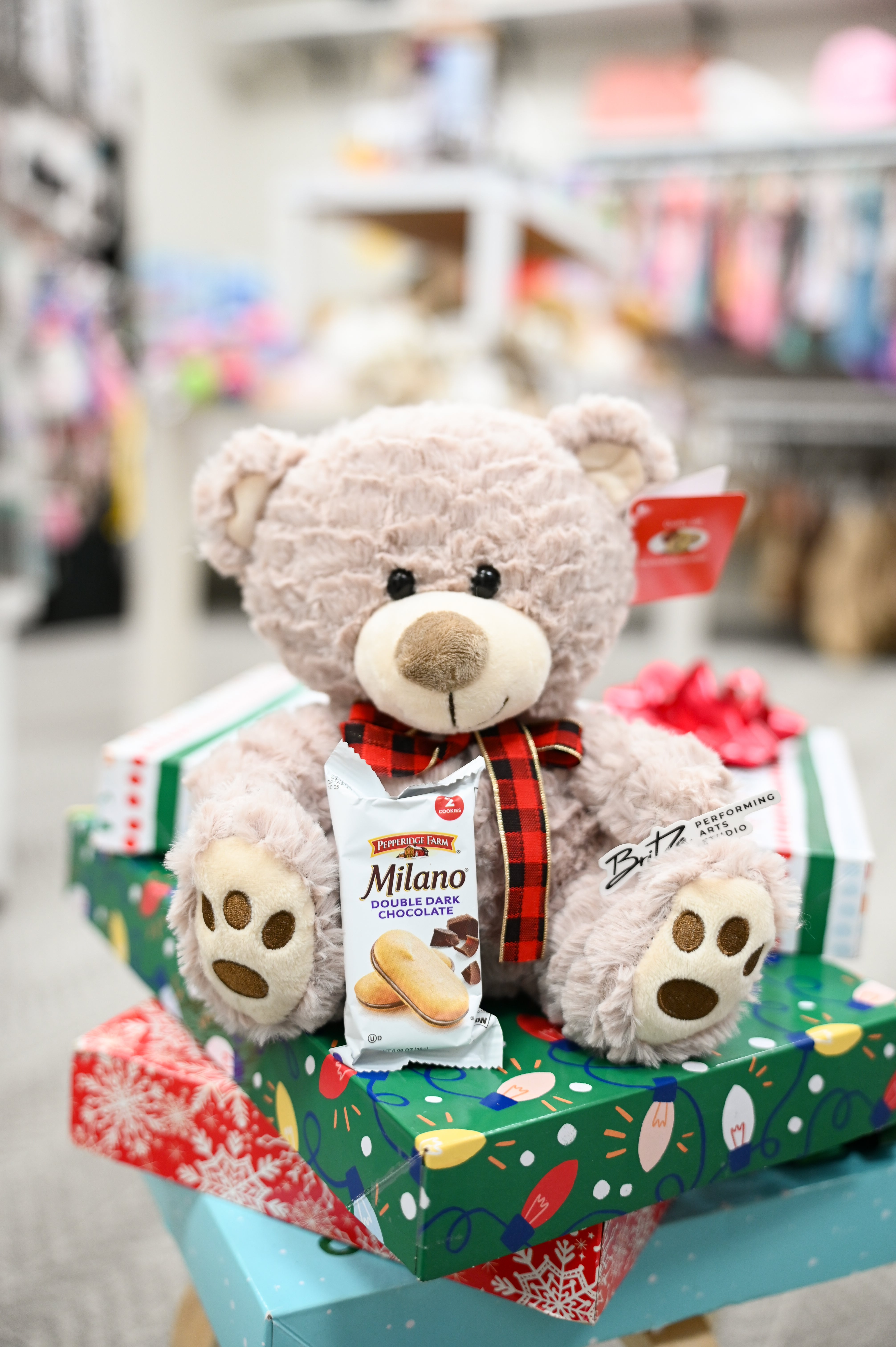 2025 Holiday Show Beary Sweet! – BritZa Studios